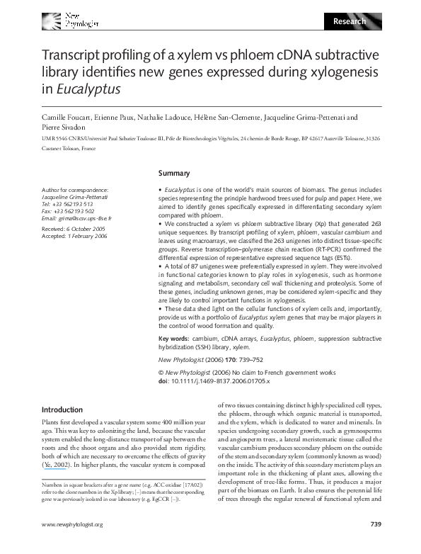 (PDF) Transcript profiling of a xylem vs phloem cDNA subtractive library identifies new genes ...