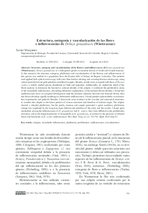(PDF) Estructura, ontogenia y vascularización de las flores e ...