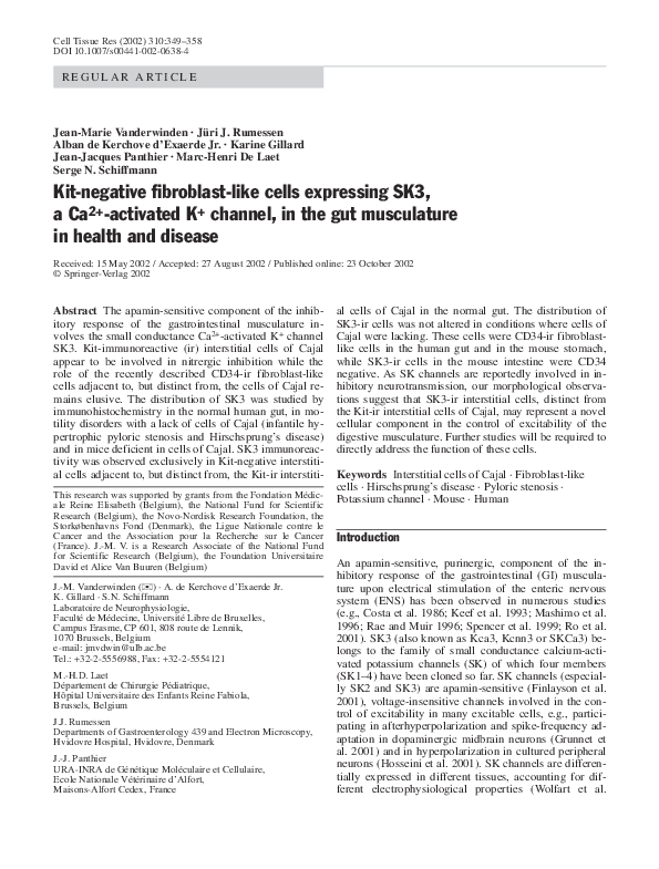 (PDF) The use of rapid assessment of enteric ICC and neuronal ...