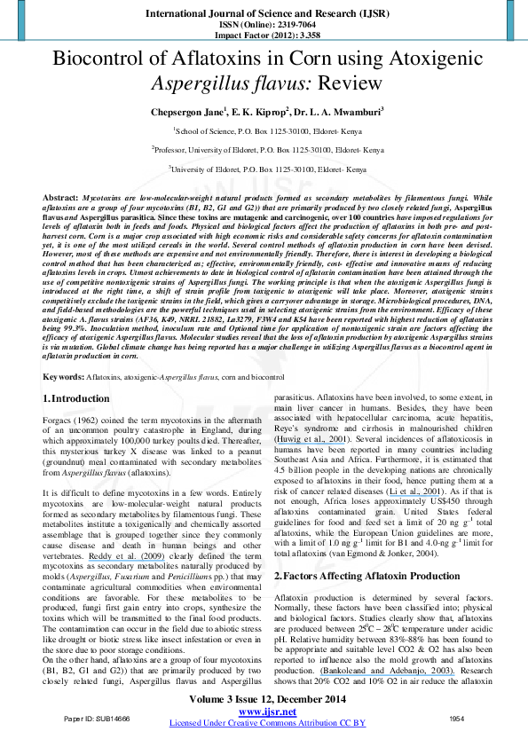 (PDF) Biocontrol of Aflatoxins in Corn using Atoxigenic Aspergillus flavus: Review