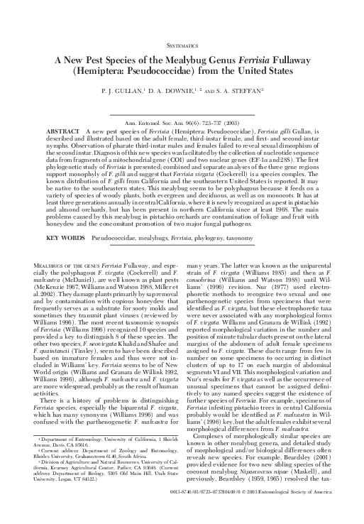 (PDF) A New Pest Species of the Mealybug Genus Ferrisia Fullaway ...