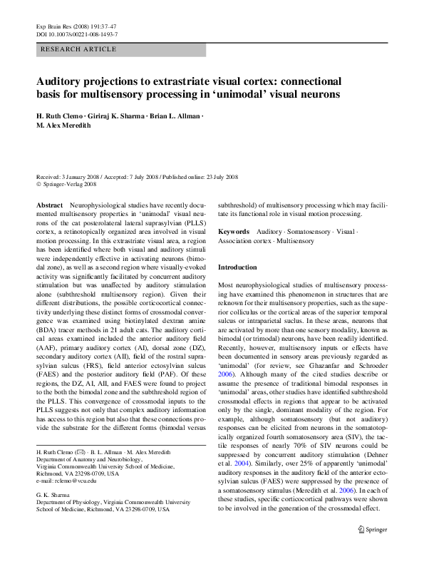 (PDF) Auditory projections to extrastriate visual cortex: connectional basis for multisensory ...