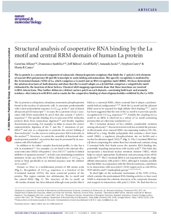 (PDF) Structural analysis of cooperative RNA binding by the La motif and central RRM domain of ...