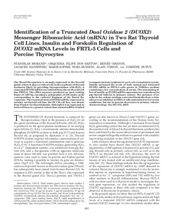 (PDF) Identification of a Truncated Dual Oxidase 2 (DUOX2) Messenger ...