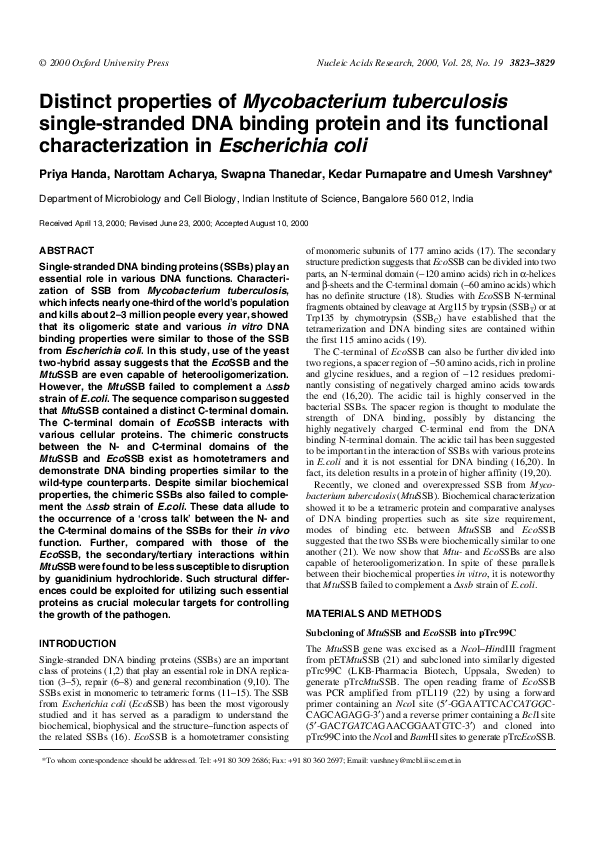 Pdf Characterization Of Mycobacterium Tuberculosis Ssb In E Coli