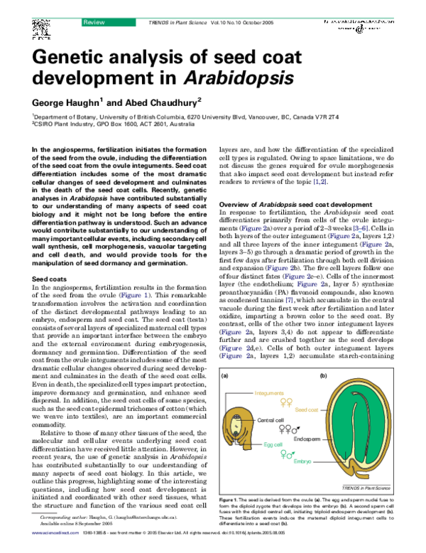 (PDF) Genetic analysis of seed coat development in Arabidopsis