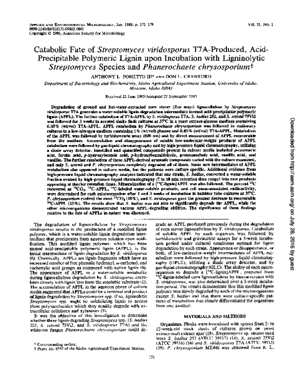 (PDF) Catabolic Fate of Streptomyces viridosporus T7A-Produced, Acid-Precipitable Polymeric ...