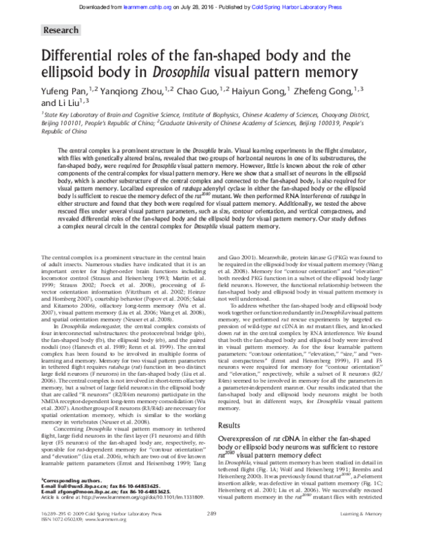 (PDF) Differential roles of the fan-shaped body and the ellipsoid body ...