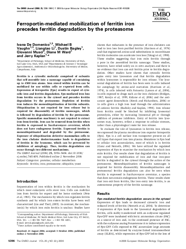 (PDF) Ferroportin-mediated mobilization of ferritin iron precedes ...
