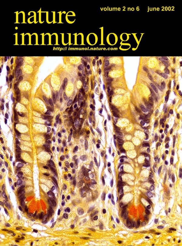 (PDF) Paneth cell trypsin is the processing enzyme for human defensin-5