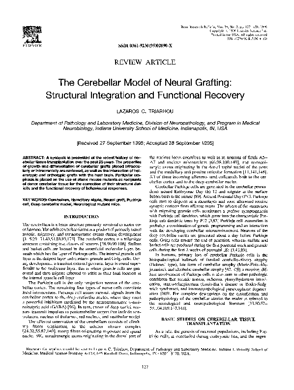 (PDF) The cerebellar model of neural grafting: Structural integration ...