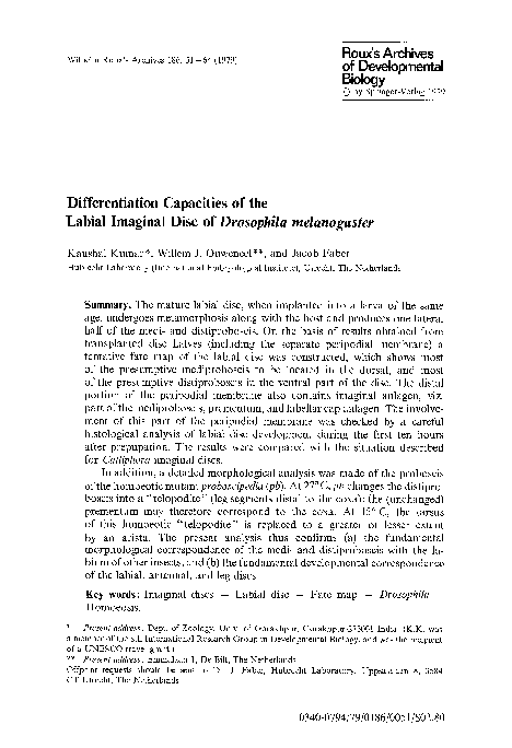 (PDF) Differentiation capacities of the labial imaginal disc of ...