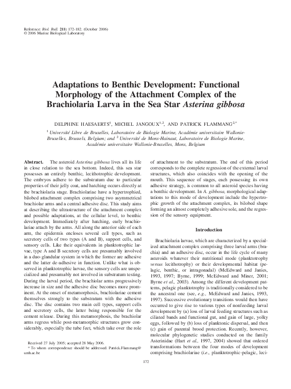 (PDF) Adaptations to Benthic Development: Functional Morphology of the ...