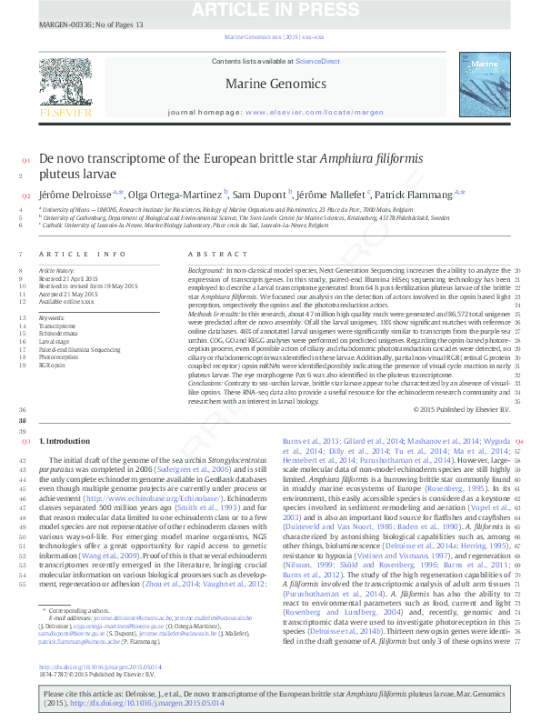 (PDF) Expression of skeletogenic genes during arm regeneration in the ...