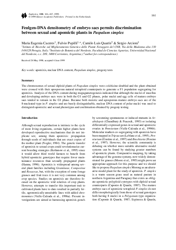 (PDF) Feulgen-DNA densitometry of embryo sacs permits discrimination ...