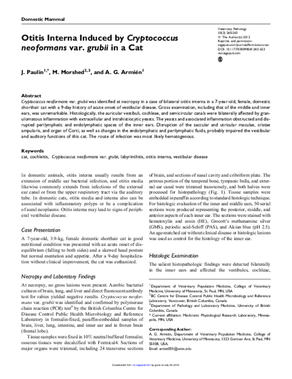 (PDF) Otitis Interna Induced by Cryptococcus neoformans var. grubii in ...