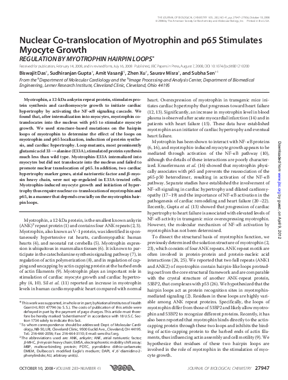 (PDF) Nuclear Co-translocation of Myotrophin and p65 Stimulates Myocyte ...