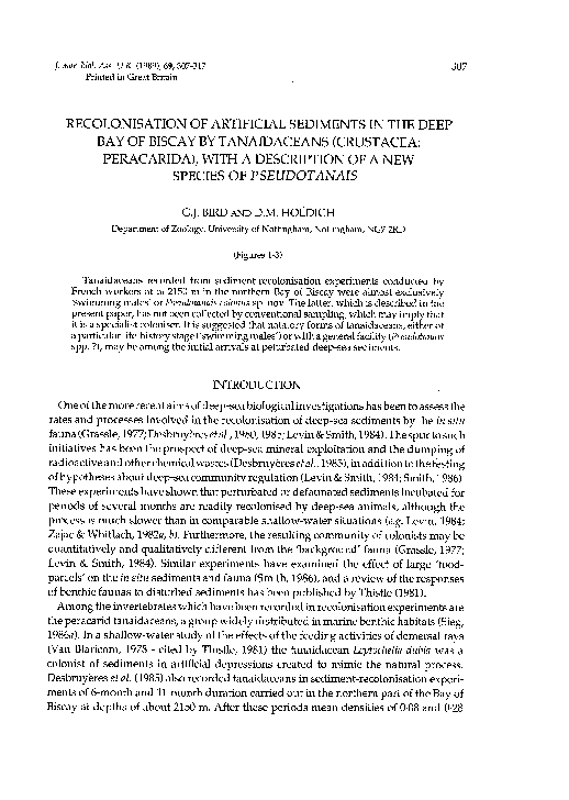(PDF) RECOLONISATION OF ARTIFICIAL SEDIMENTS IN THE DEEP BAY OF BISCAY ...