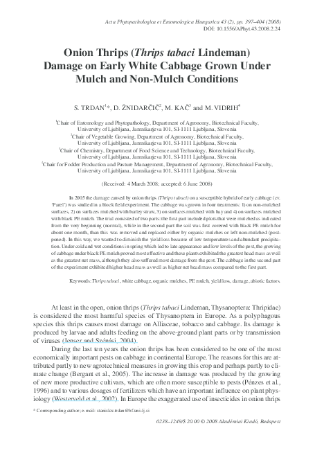 (PDF) Onion thrips ( Thrips tabaci Lindeman) damage on early white cabbage grown under mulch and ...