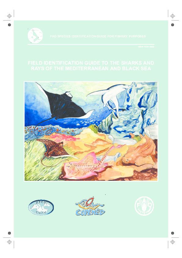 (PDF) Field Identification Guide to the Sharks and Rays of the ...