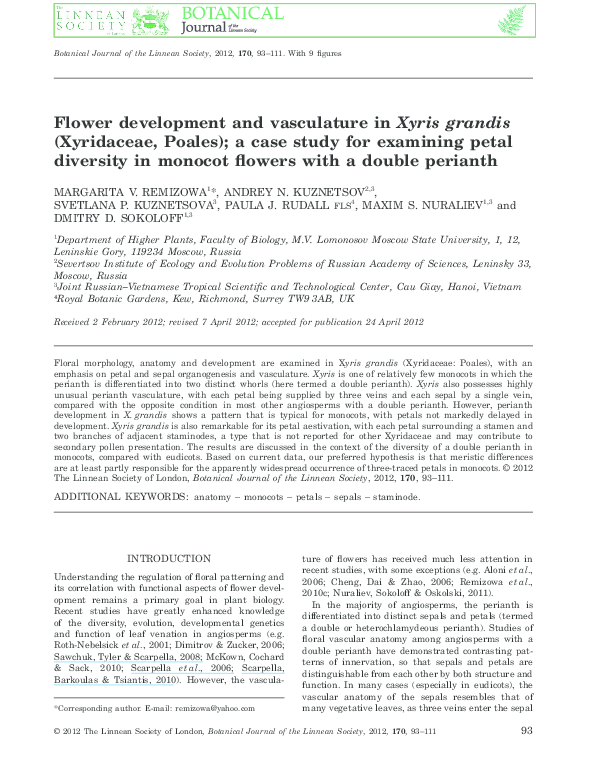 (PDF) Flower development and vasculature in Xyris grandis (Xyridaceae, Poales); a case study for ...