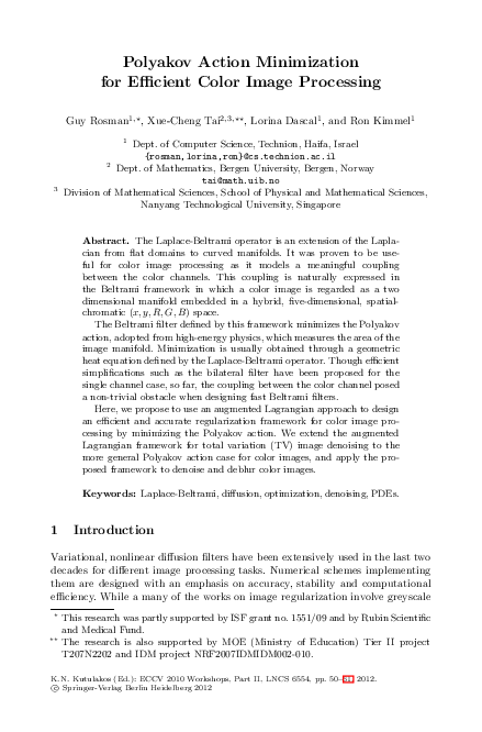 (PDF) Polyakov Action Minimization for Efficient Color Image Processing