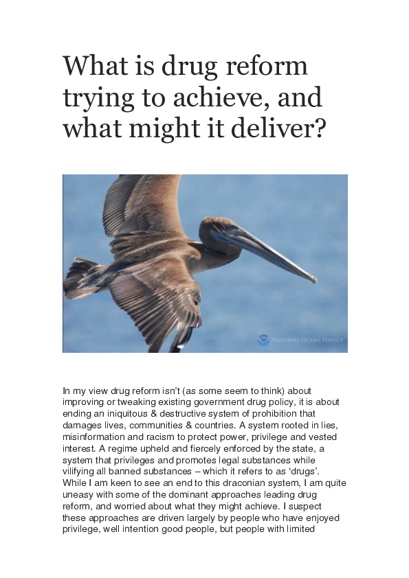 (PDF) What is drug reform trying to achieve, but what might it deliver?
