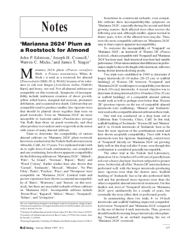 (PDF) Marianna 2624' Plum as a Rootstock for Almond