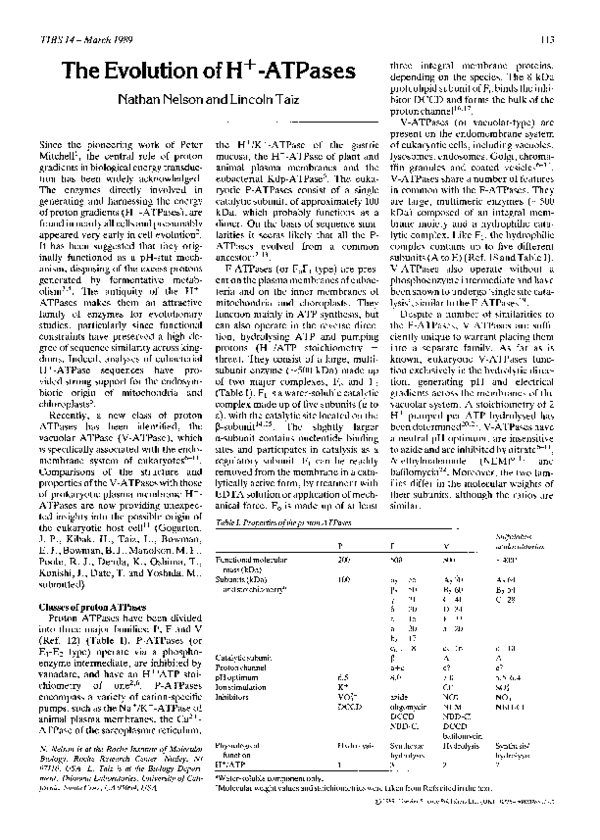 (PDF) The evolution of H+-ATPases