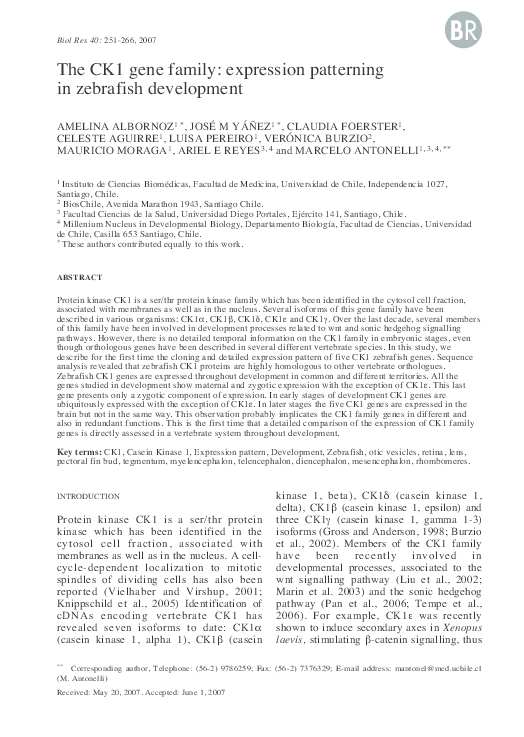 (PDF) The CK1 gene family: expression patterning in zebrafish development