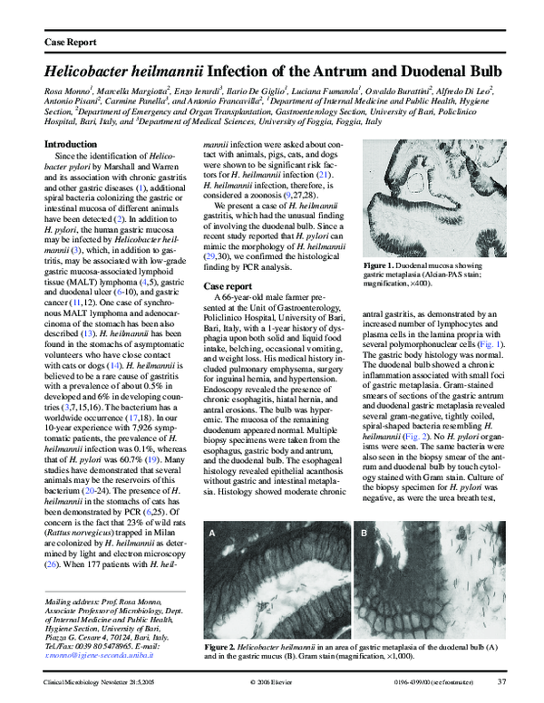 (PDF) Helicobacter heilmannii infection of the antrum and duodenal bulb