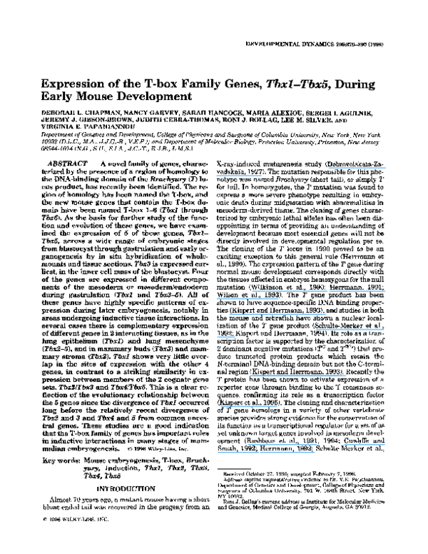 (PDF) Expression of the T-box family genes,Tbx1-Tbx5, during early ...