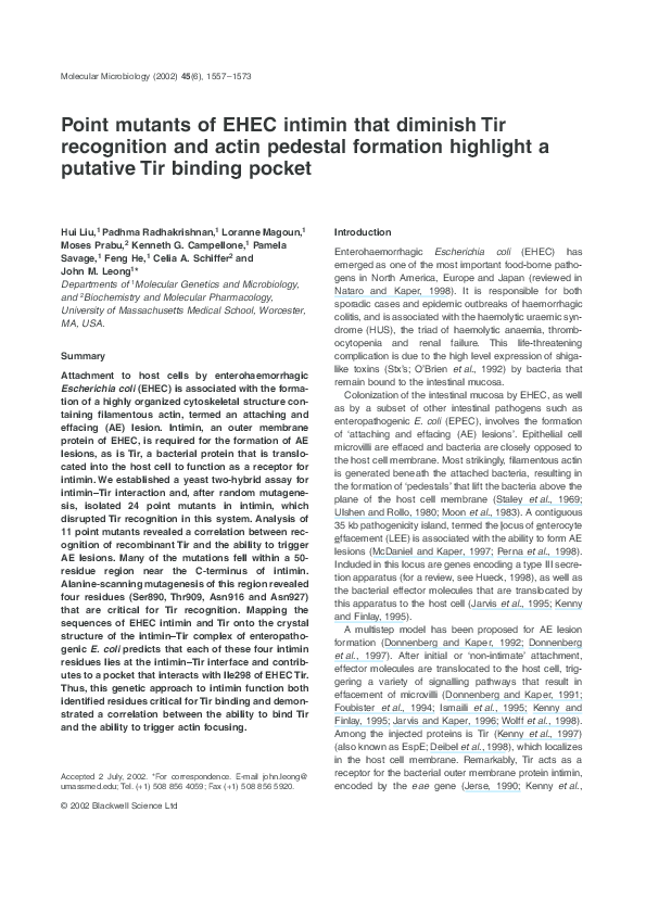 (PDF) Point mutants of EHEC intimin that diminish Tir recognition and ...