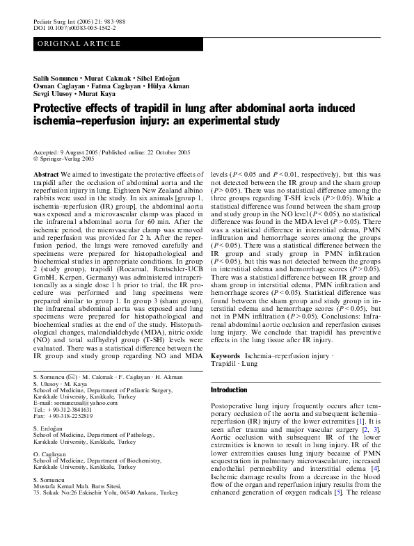 (PDF) Protective effects of trapidil in lung after abdominal aorta induced ischemia–reperfusion ...
