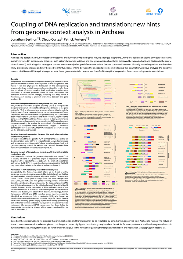 (PDF) Coupling of DNA replication and translation: new hints from ...