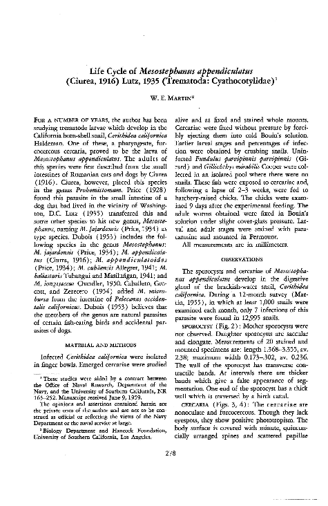 (PDF) Life Cycle of Mesostephanus appendiculatus (Ciurea, 1916) Lutz ...