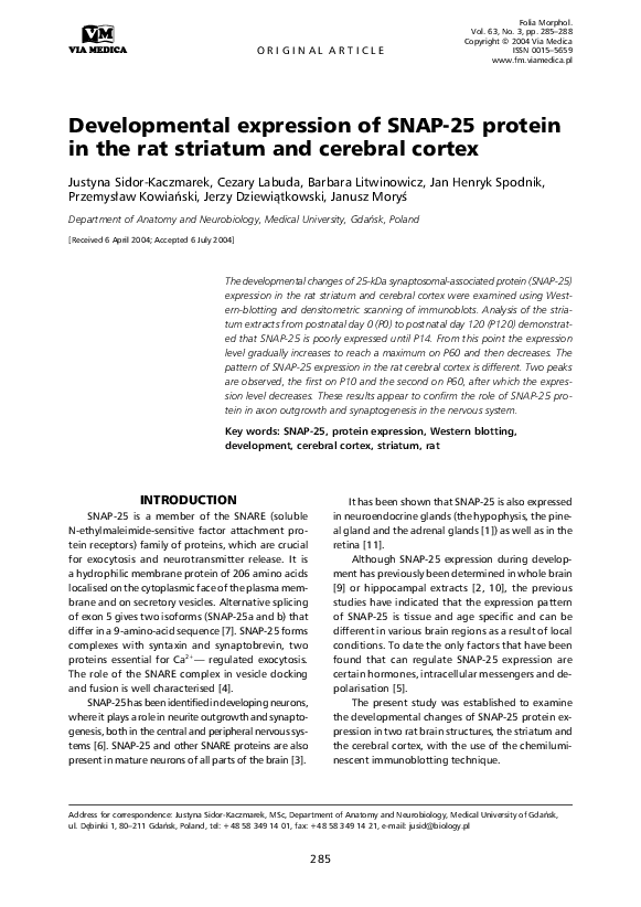 (PDF) Developmental expression of SNAP-25 protein in the rat striatum ...