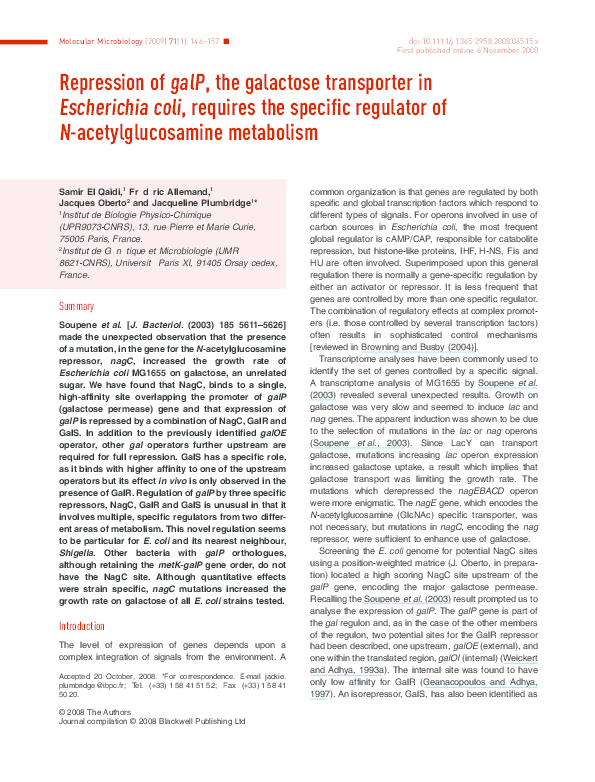 (PDF) Repression of galP , the galactose transporter in Escherichia ...