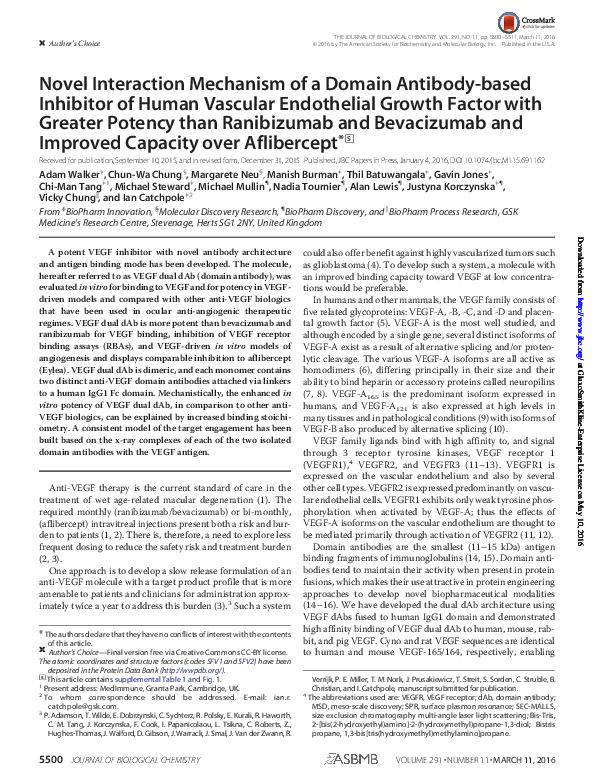 (PDF) Novel Interaction Mechanism of a Domain Antibody-based Inhibitor ...