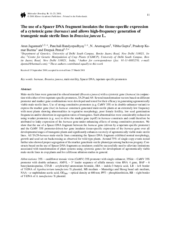 (PDF) The use of a Spacer DNA fragment insulates the tissue-specific ...