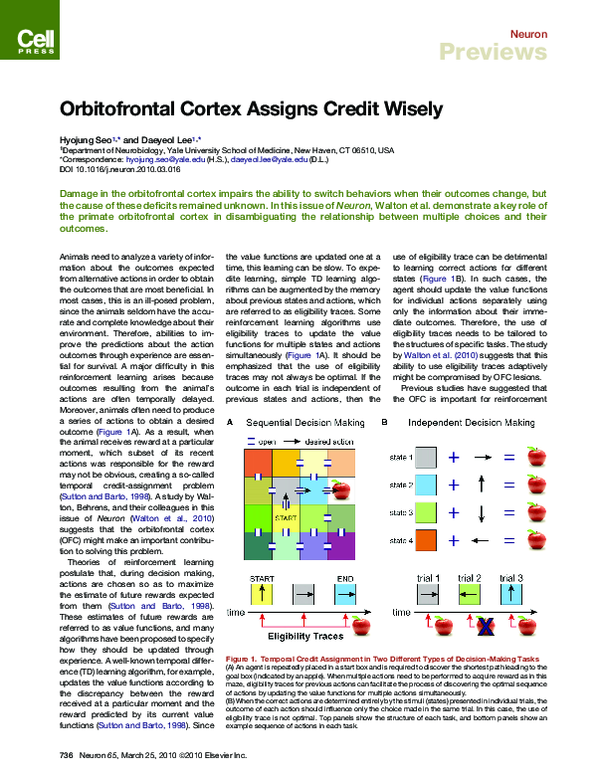 (PDF) Orbitofrontal Cortex Assigns Credit Wisely