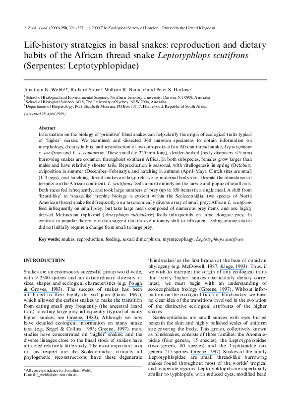 (PDF) Life-history strategies in basal snakes: reproduction and dietary ...