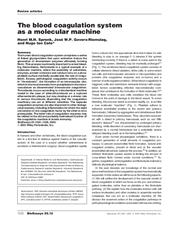 (PDF) The blood coagulation system as a molecular machine