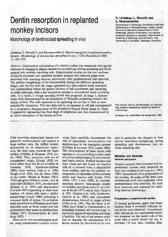 (PDF) Dentin resorption in replanted monkey incisors. Morphology of ...