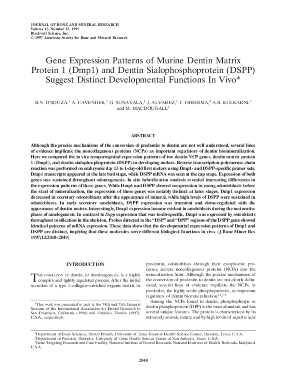 (PDF) Human dentin phosphophoryn nucleotide and amino acid sequence ...