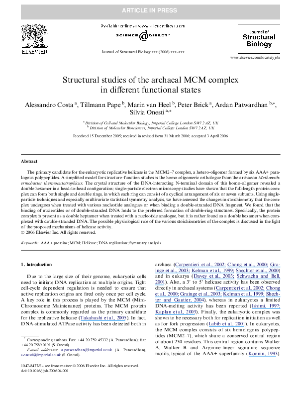 (PDF) Structural studies of the archaeal MCM complex in different ...