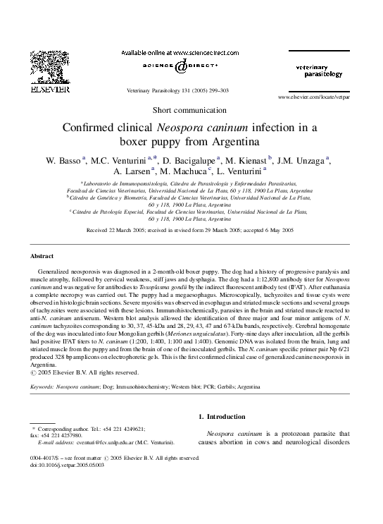 (PDF) Confirmed clinical Neospora caninum infection in a boxer puppy ...