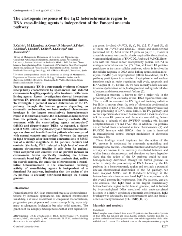 (PDF) The clastogenic response of the 1q12 heterochromatic region to ...