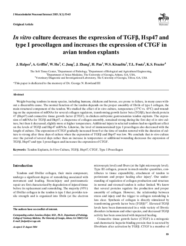 (PDF) In vitro culture decreases the expression of TGF(beta), Hsp47 and type I procollagen and ...