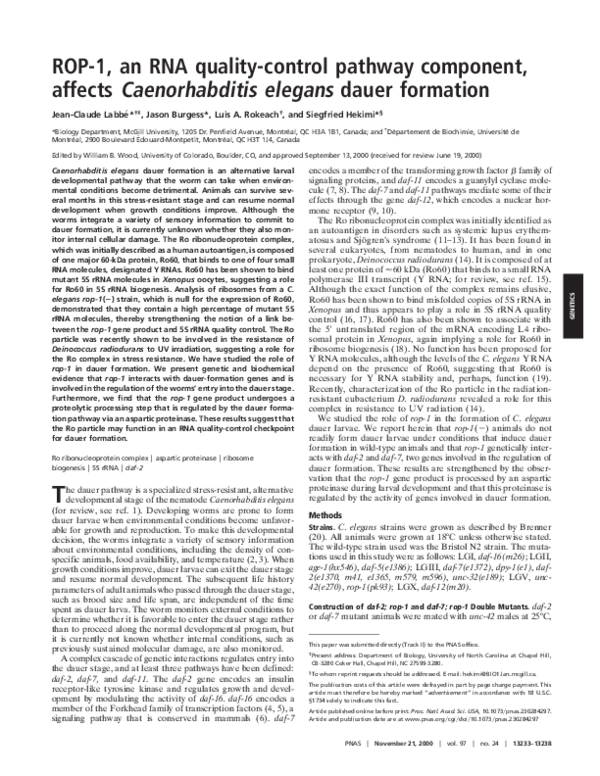 (PDF) ROP1, an RNA quality-control pathway component, affects ...